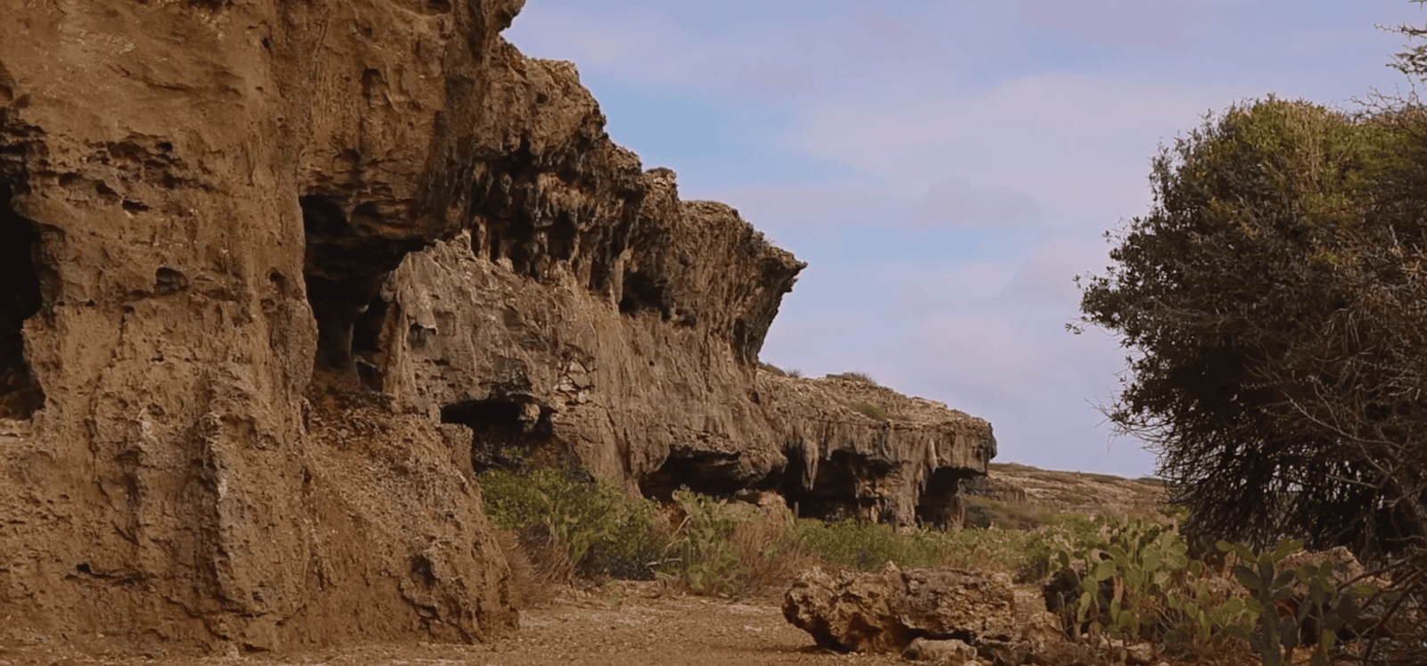 Caquetio: The First Nation of Aruba - Djis Pa Hari