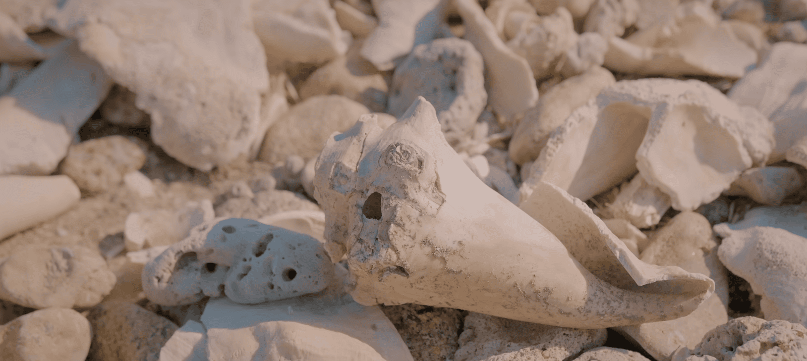 Caquetio: The First Nation of Aruba - Djis Pa Hari