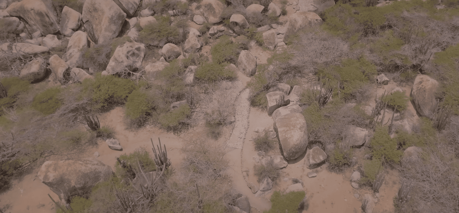 Caquetio: The First Nation of Aruba - Djis Pa Hari