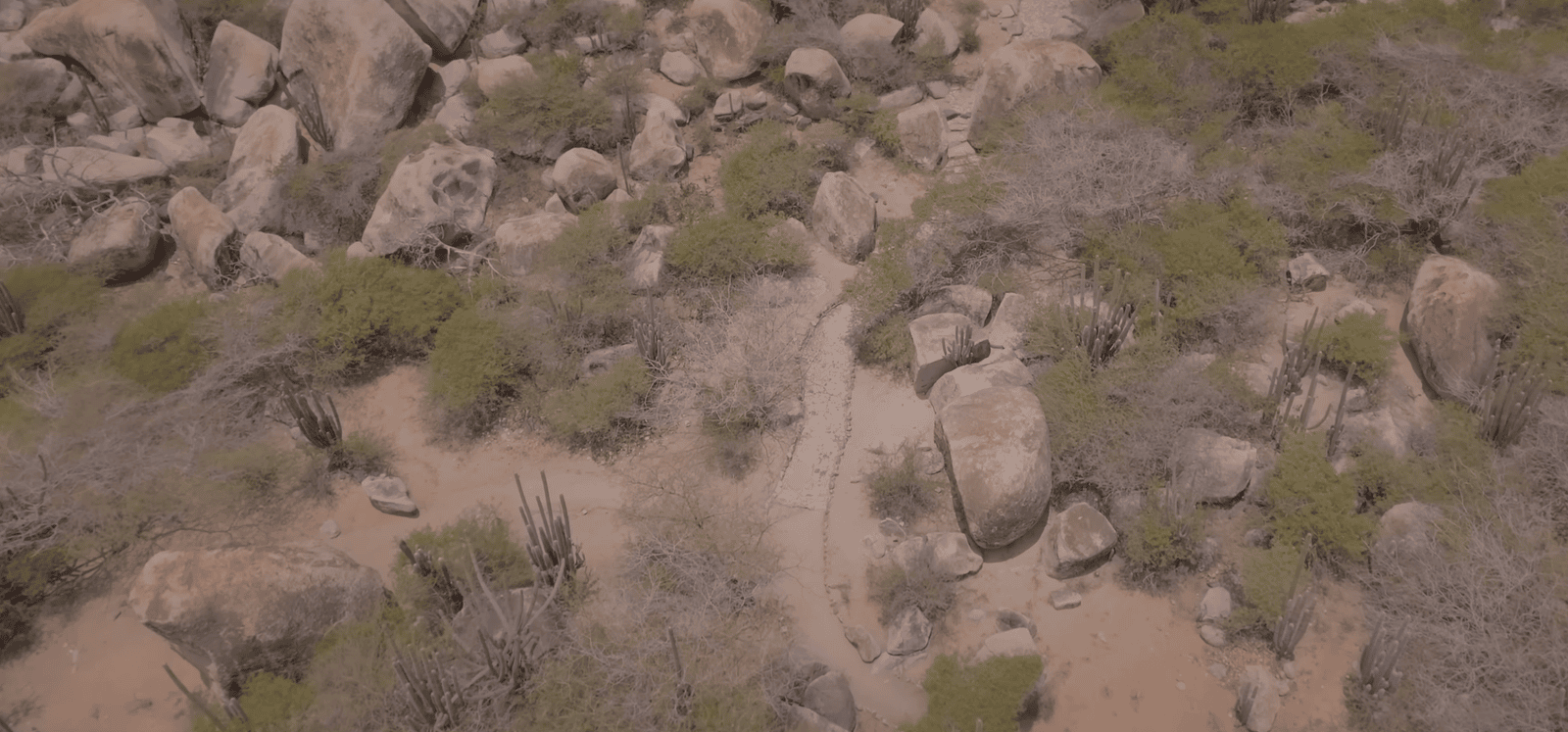 Caquetio: The First Nation of Aruba - Djis Pa Hari